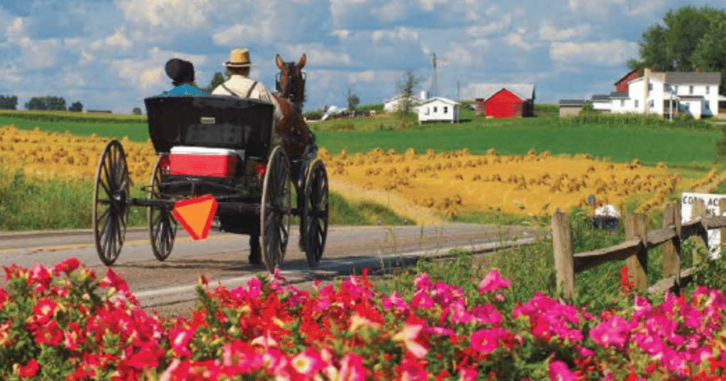 How much does Amish charge to build a house per square foot?